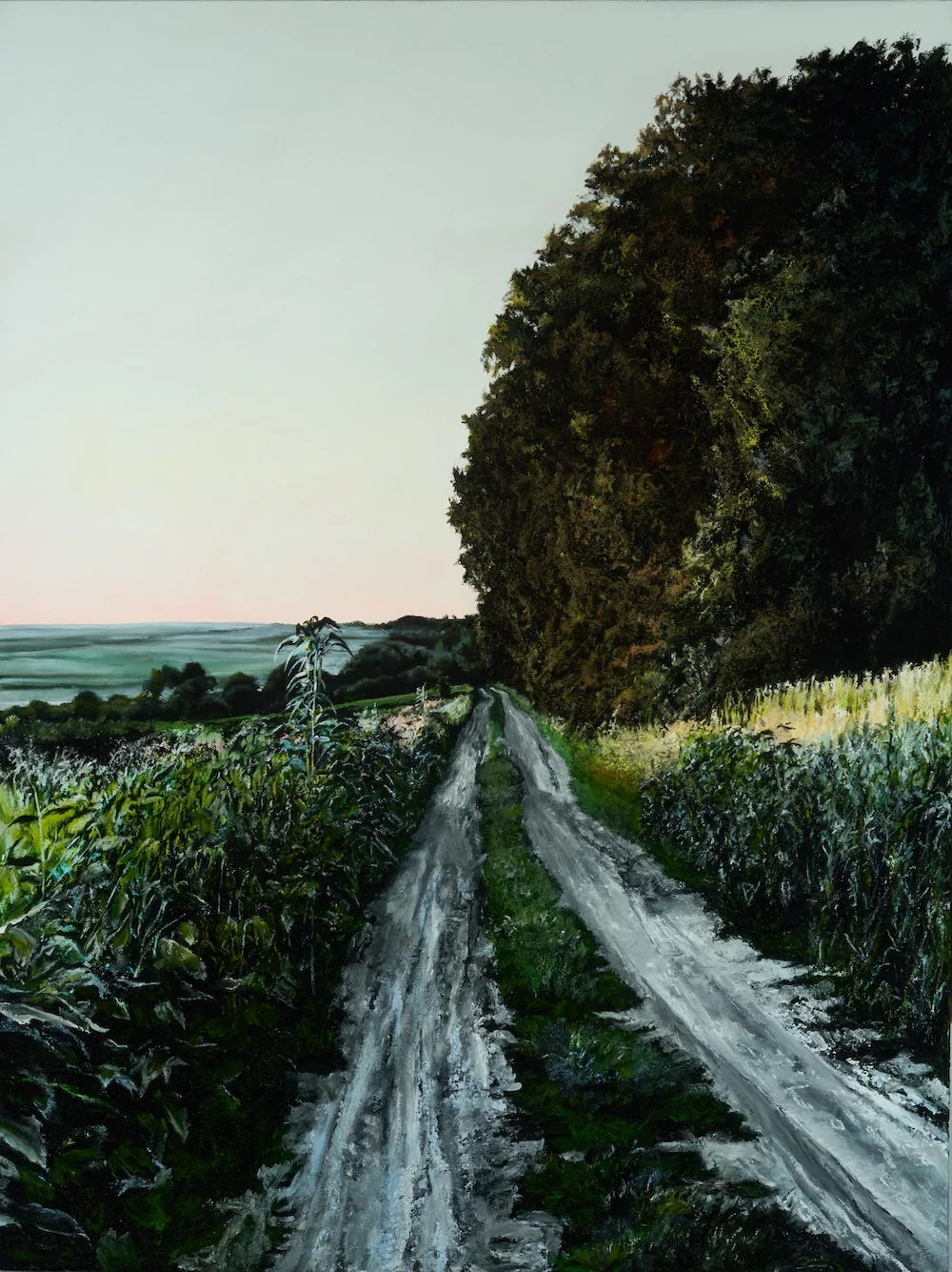 ROD BOUC – Sarah Gormley Gallery