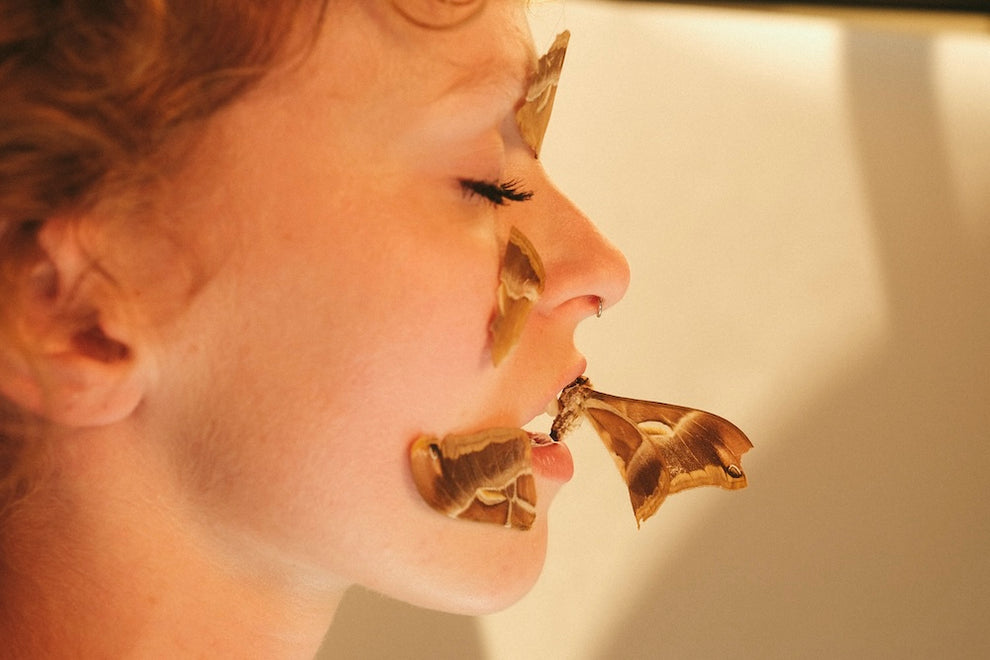Metamorphosis – Sarah Gormley Gallery