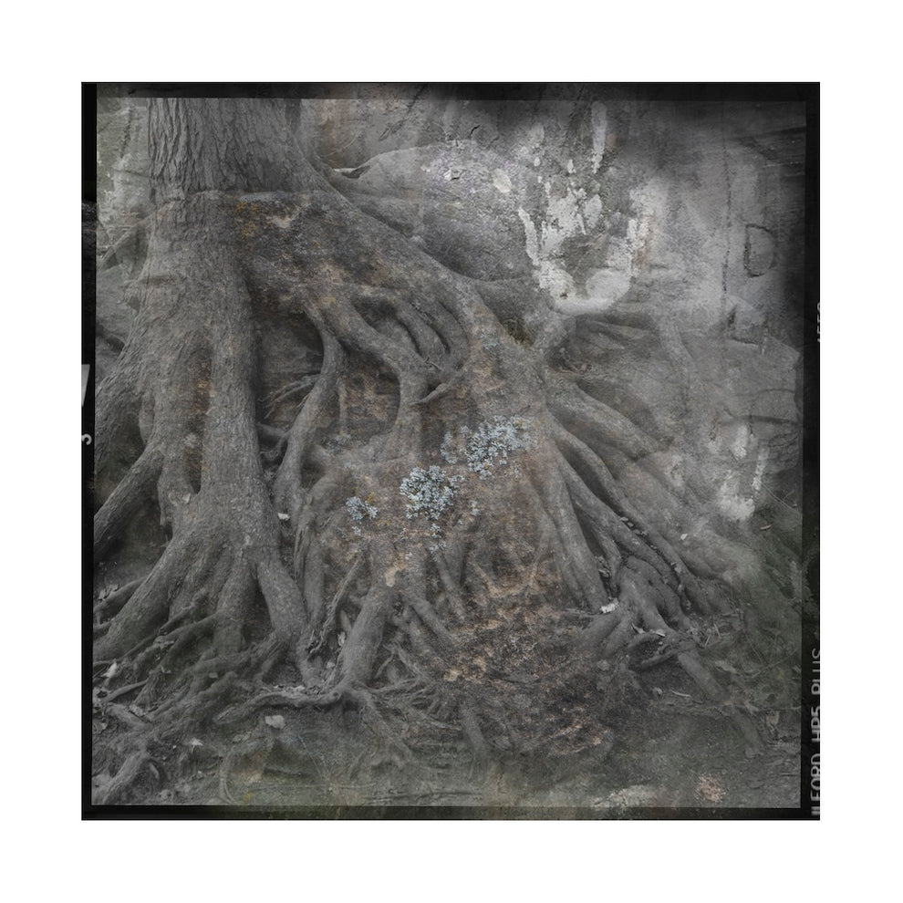 A Hollow Place – Sarah Gormley Gallery