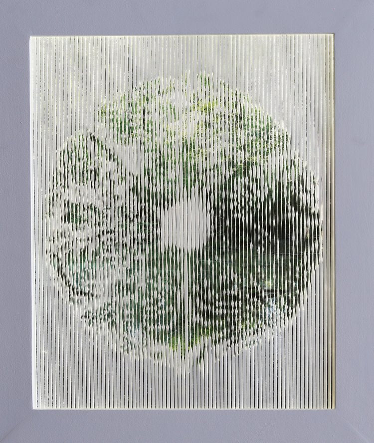 Bog and Spore Print Composite 02 – Sarah Gormley Gallery