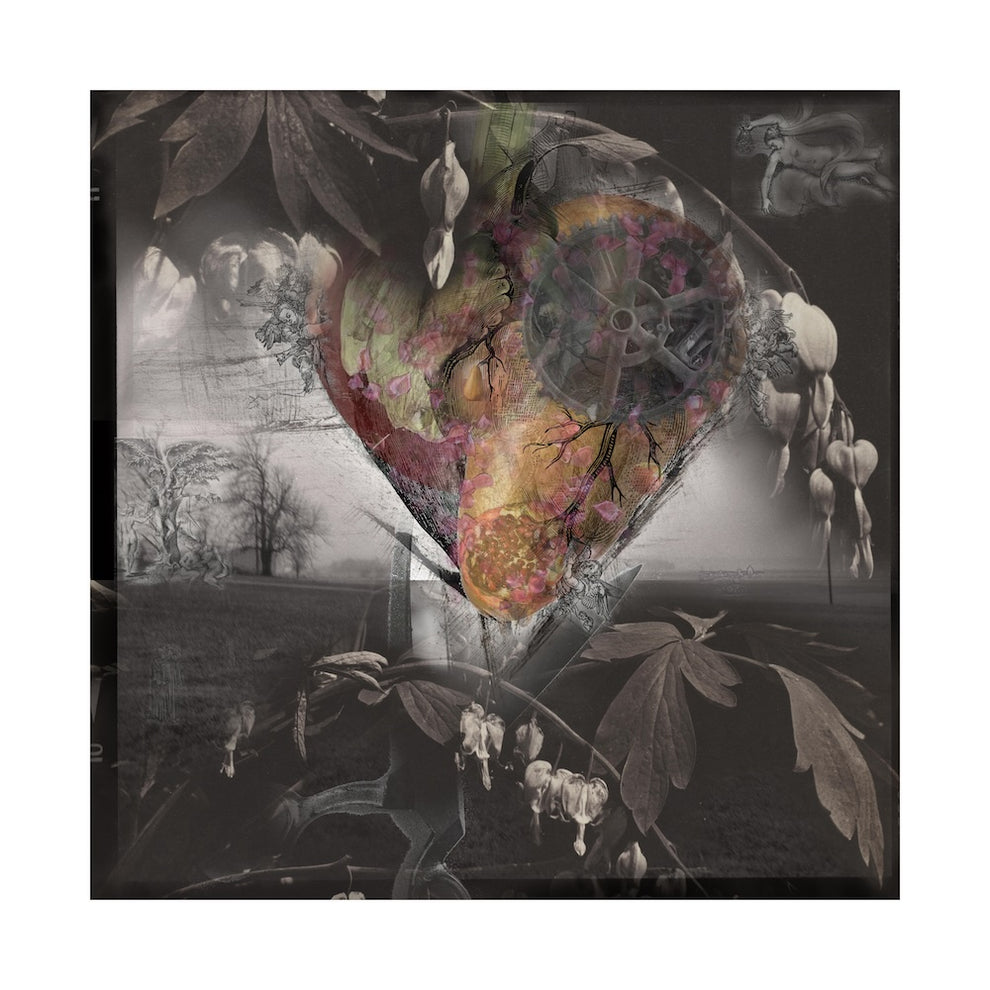 The Mendacity of Venus – Sarah Gormley Gallery