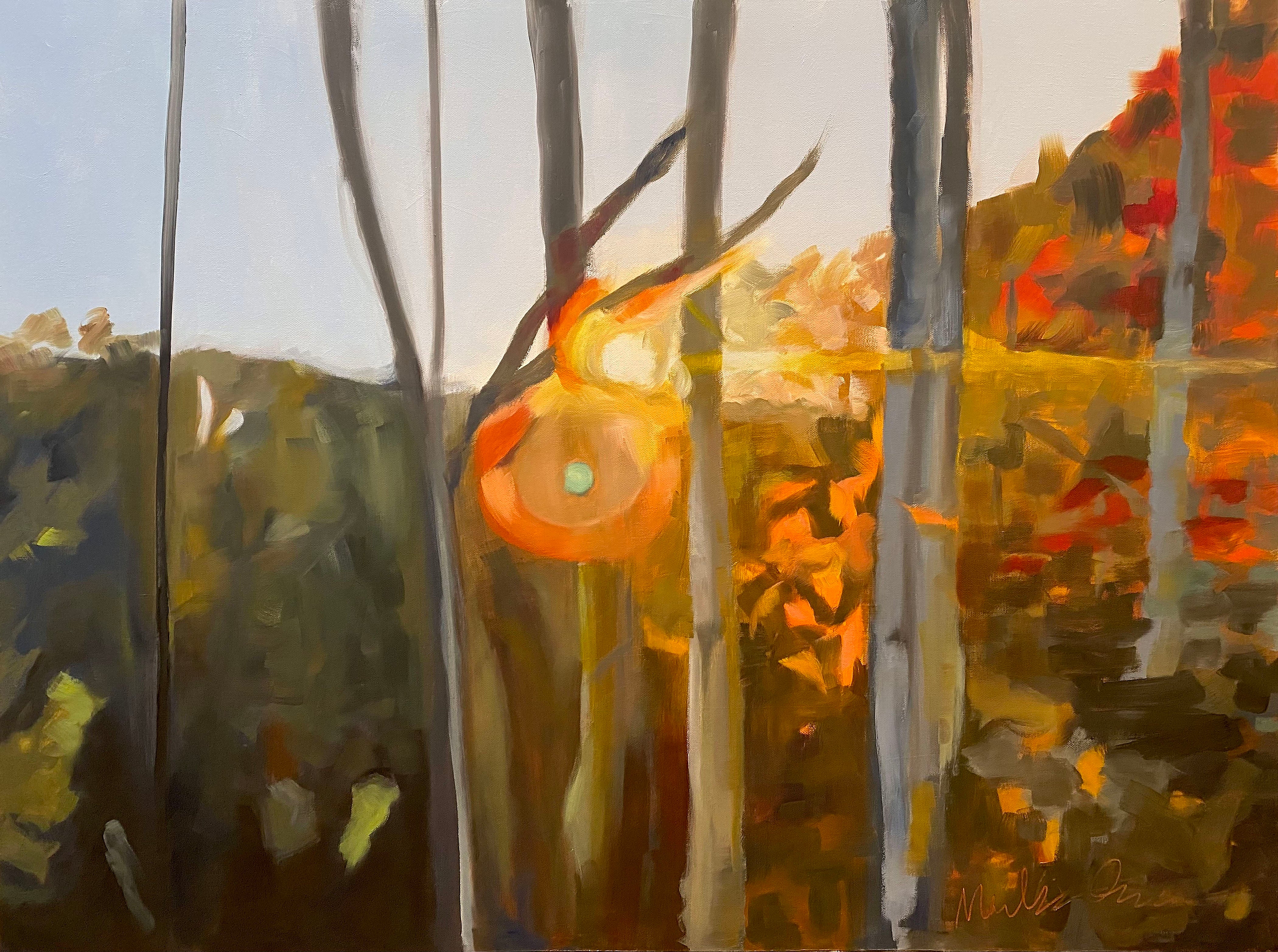 GLIMMER – Sarah Gormley Gallery