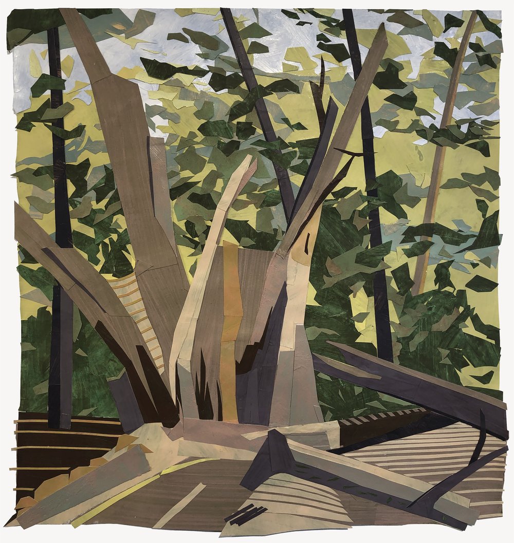 Tree Trunk – Sarah Gormley Gallery